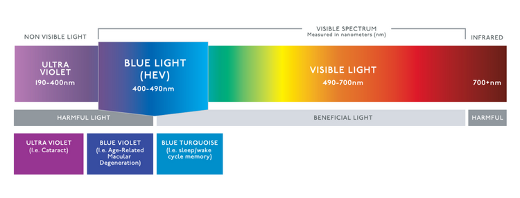 SnapShades® Fit Over Blue Light Blockers – Maysprings